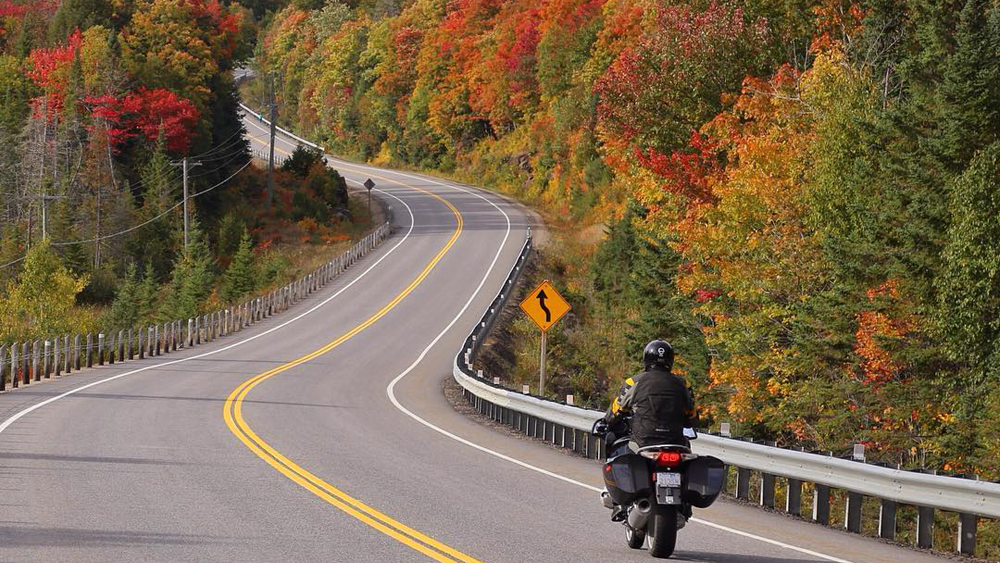 Fiery Fall Colour Views – The Road Cut